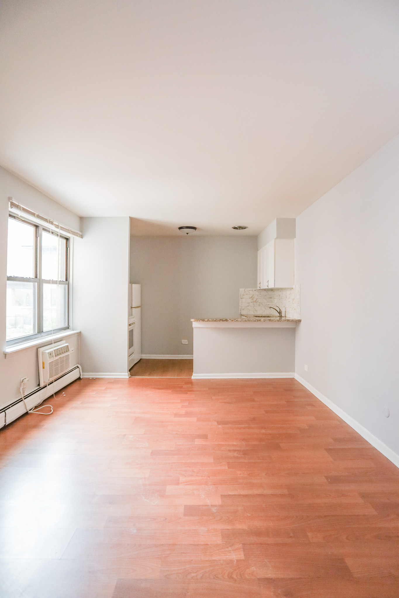 459 West Briar, #206, Chicago (Lakeview)